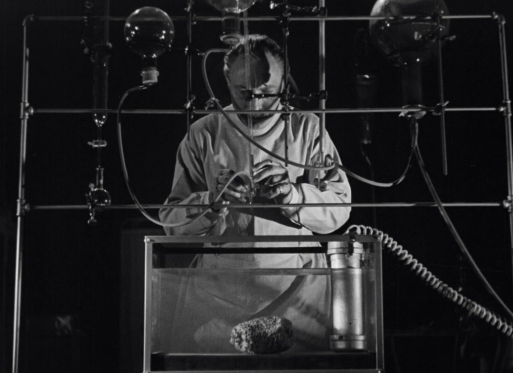 The Vampire Bat – Scifist.