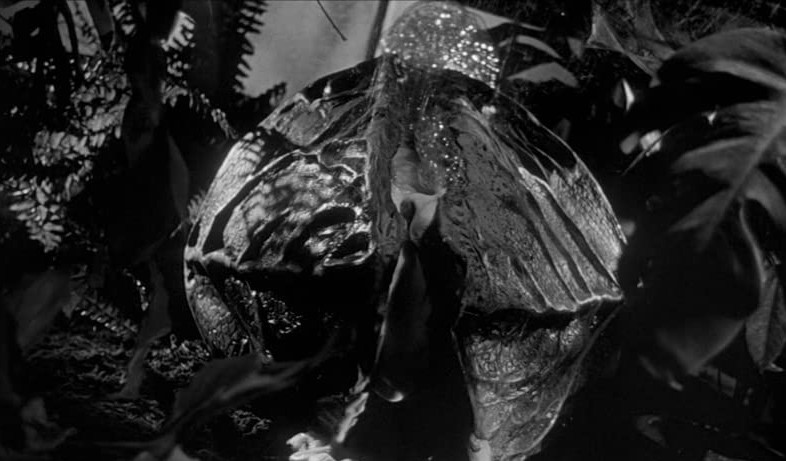 Invasion of the Body Snatchers – Scifist.