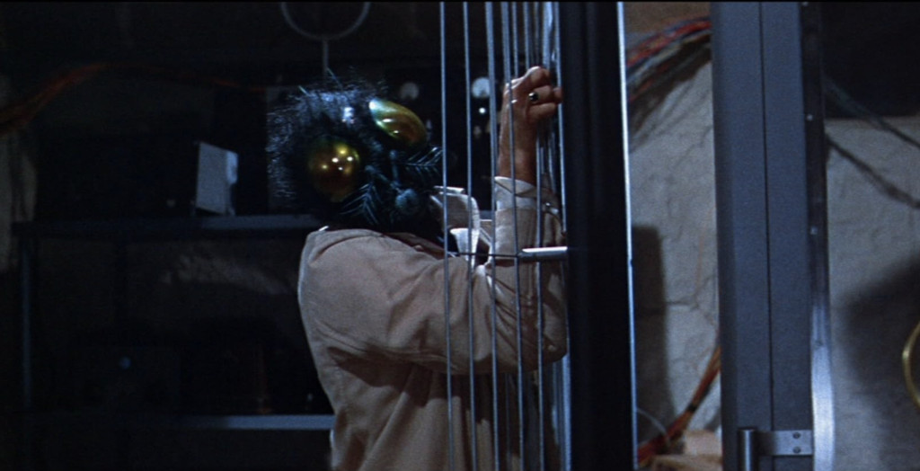 The Fly – Scifist.