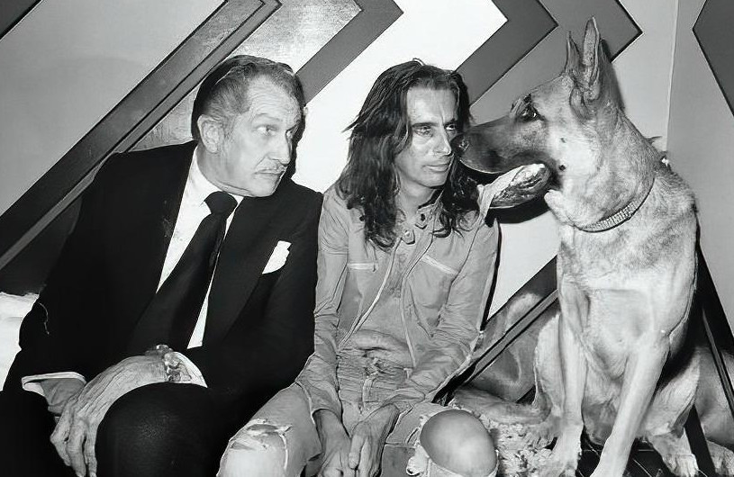 The Fly – Scifist.