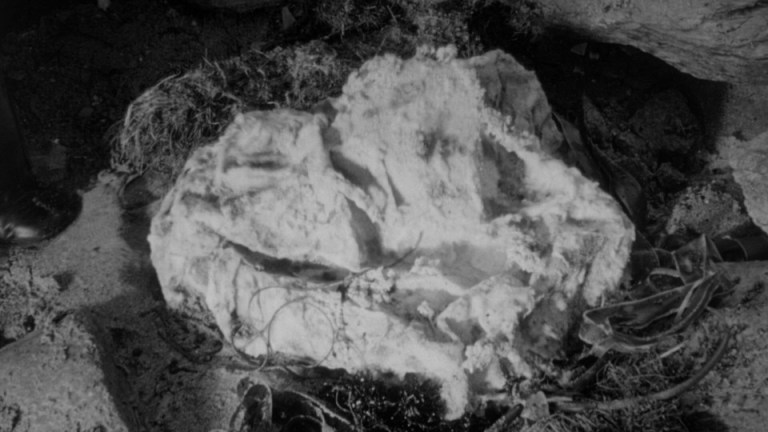 Behemoth the Sea Monster – Scifist.